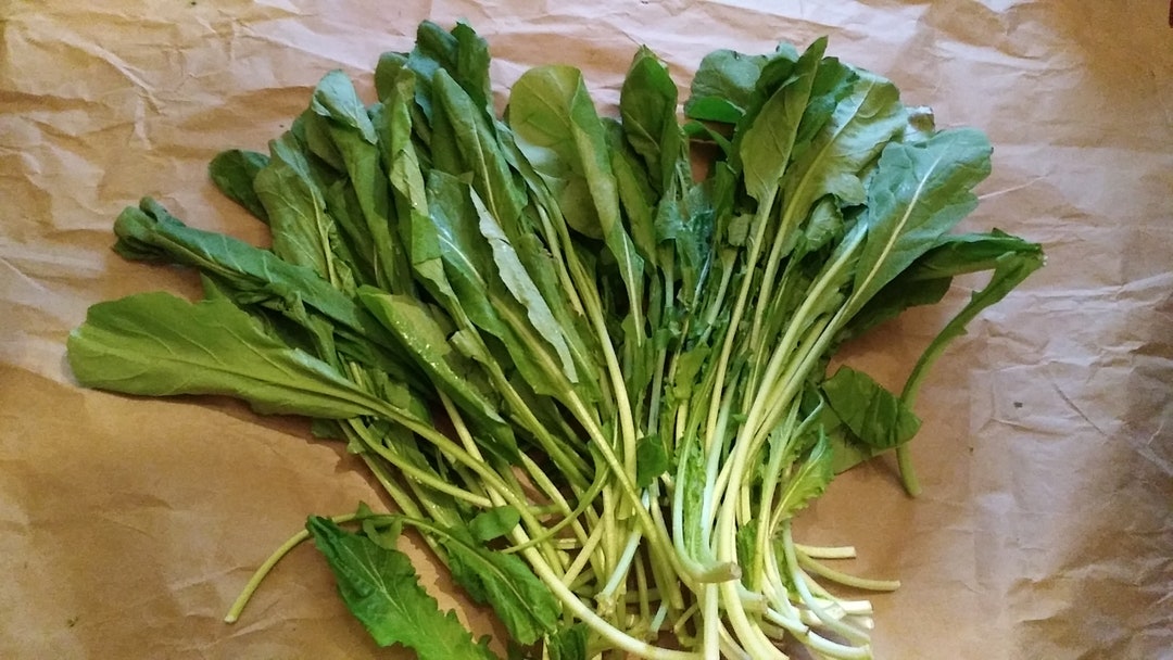 Rucola Selvatica Arugula Cherrygal Organic Non-gmo Heirloom - Etsy