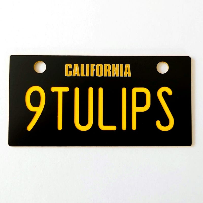 Custom Front Plate for Ebike - Etsy