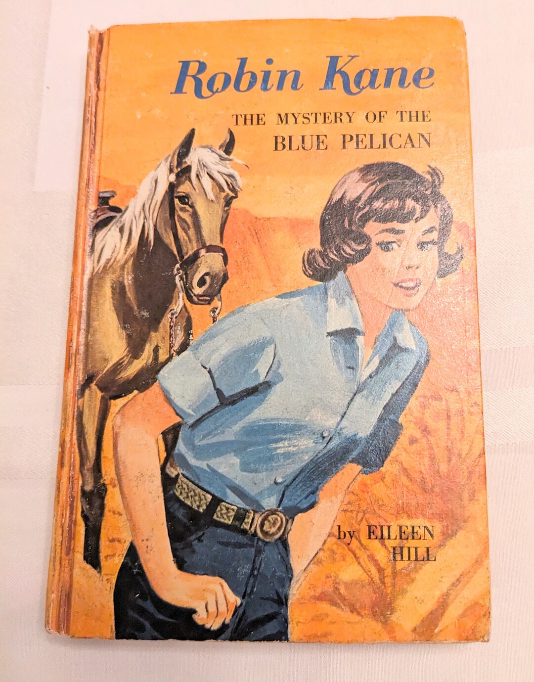 Robin Kane: the Mystery of the Blue Pelican. Illustrated Story for ...