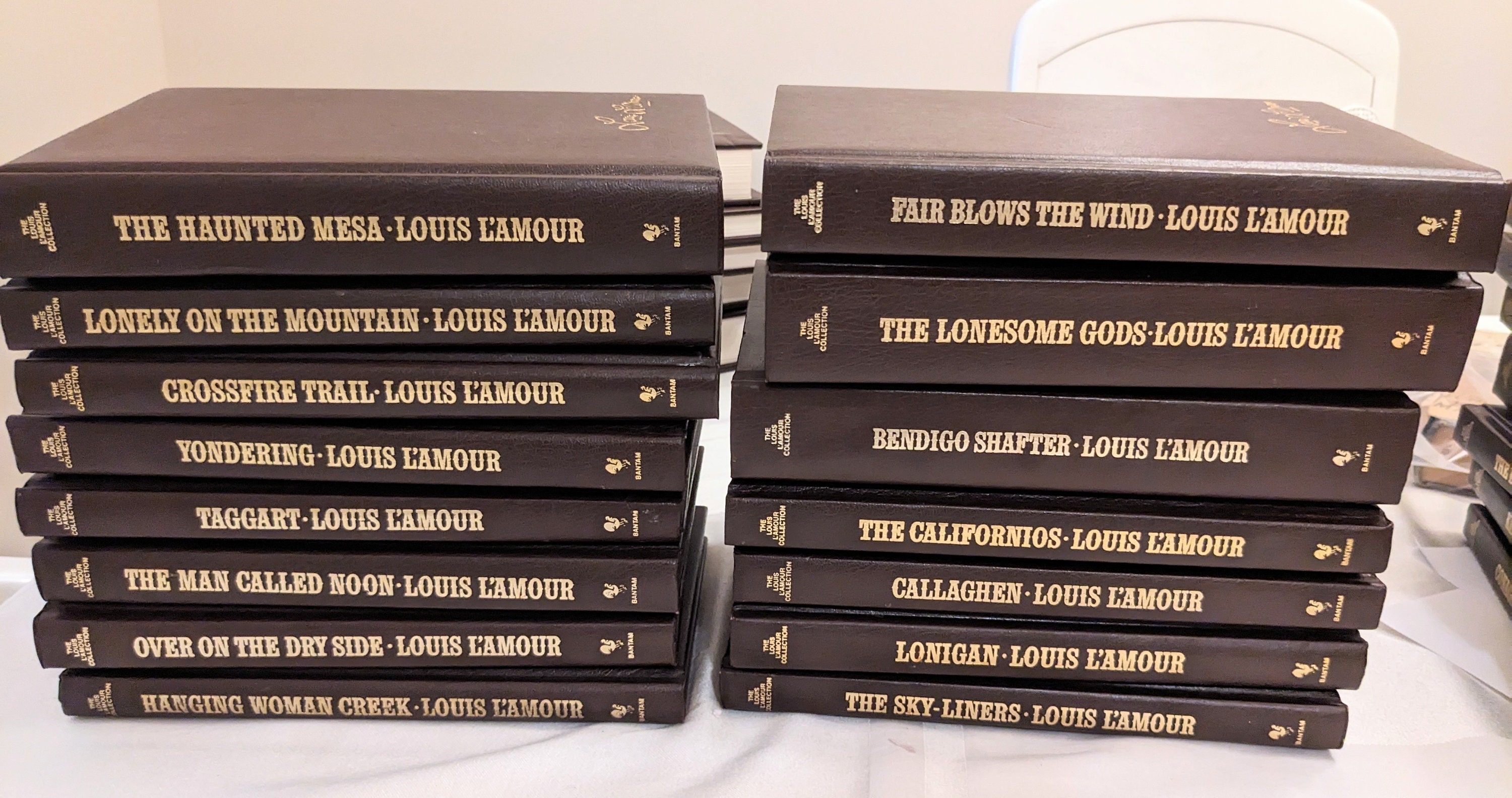 Louis L'amour Books: Leatherette,name in Gilt Letters on Front. 14 ...