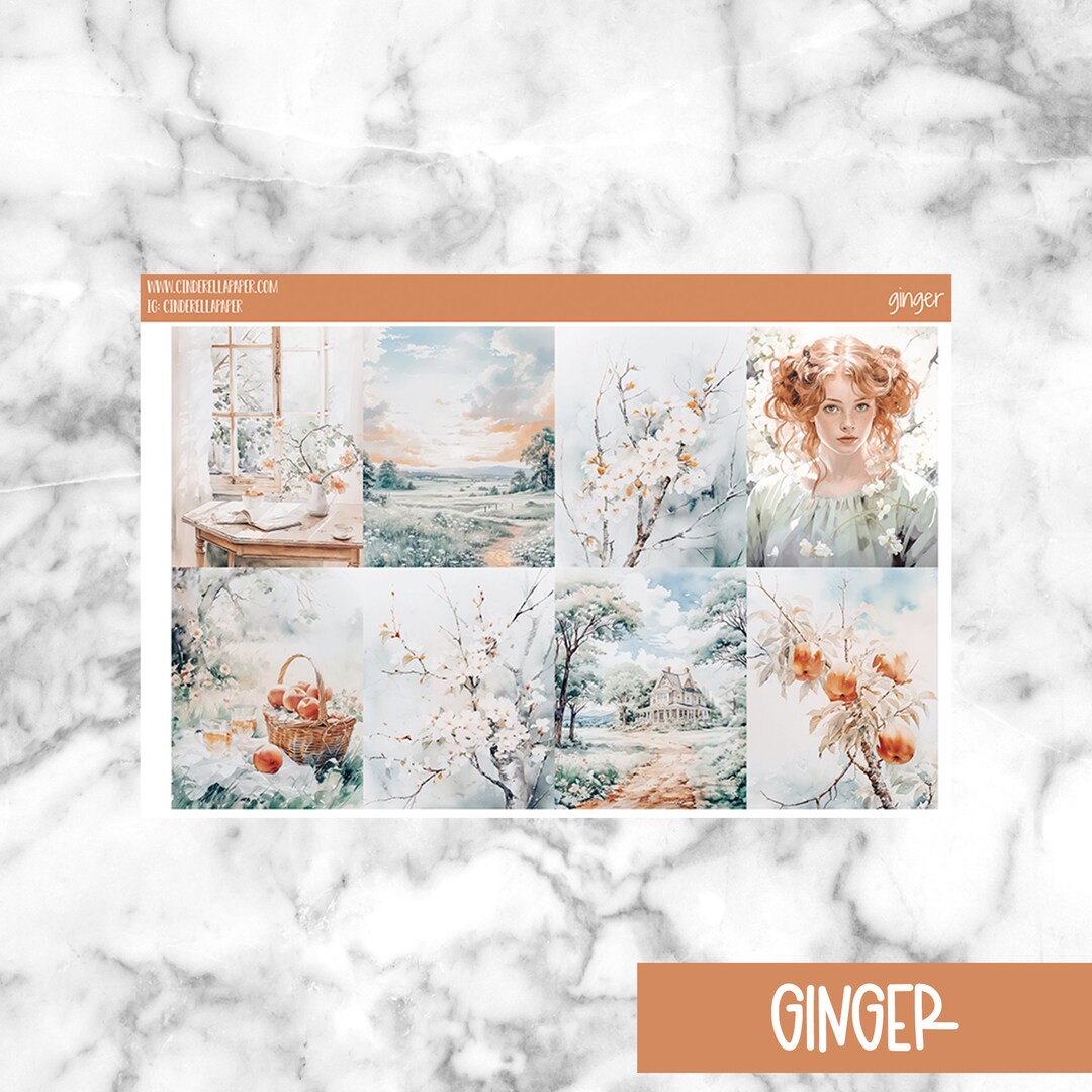 Ginger Printable Planner Stickers, Weekly Sticker Kit Erin Condren ...