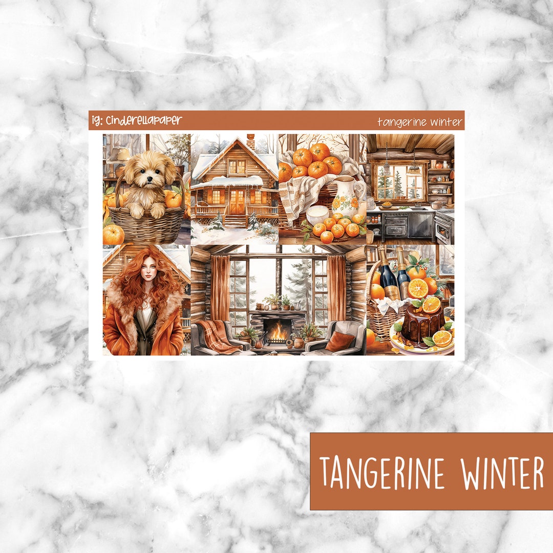 Tangerine Winter Printable Planner Stickers, Weekly Sticker Kit Erin ...