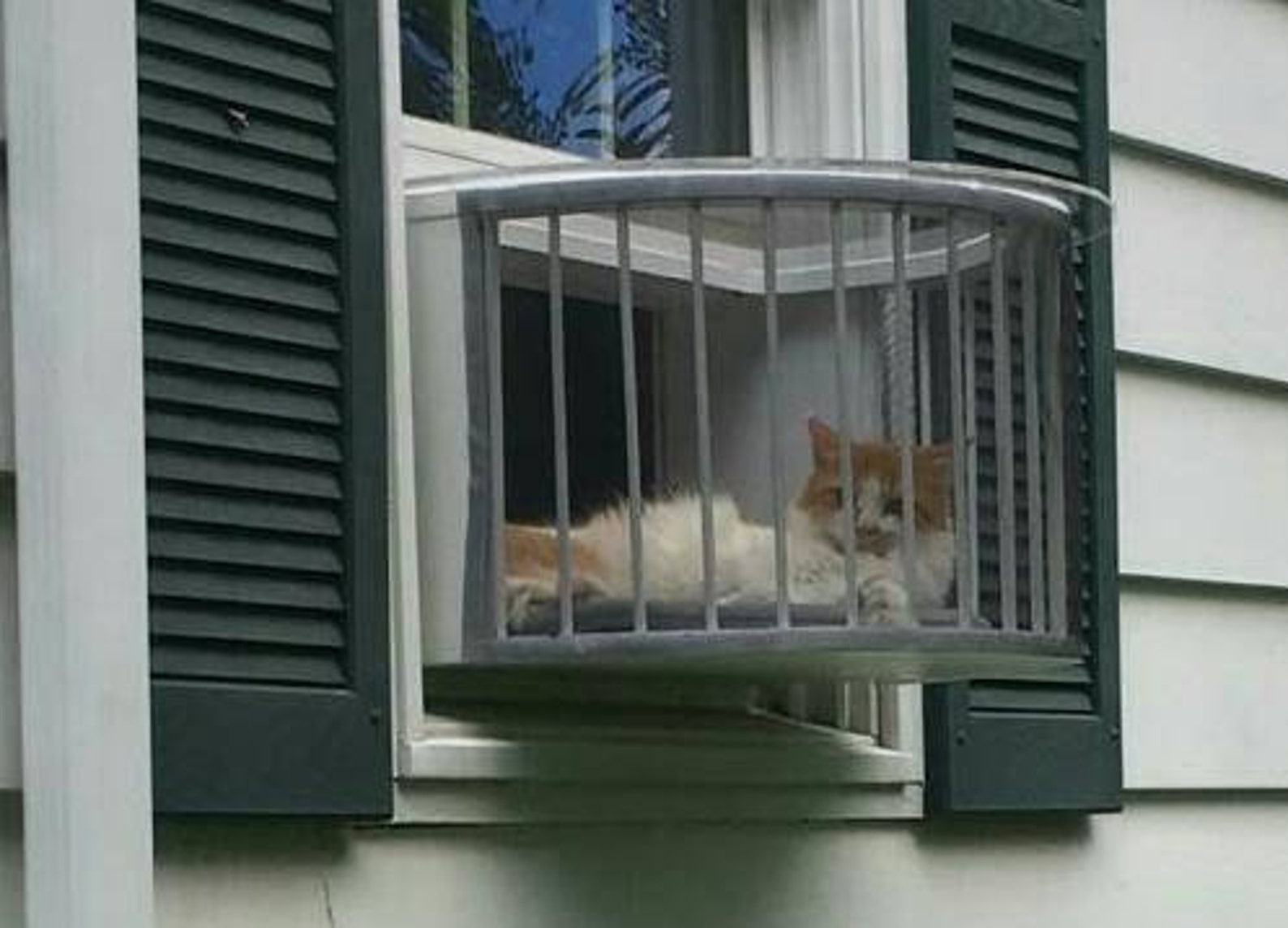 Cat Solarium-the Veranda Package the Ultimate Cat Window Box - Etsy