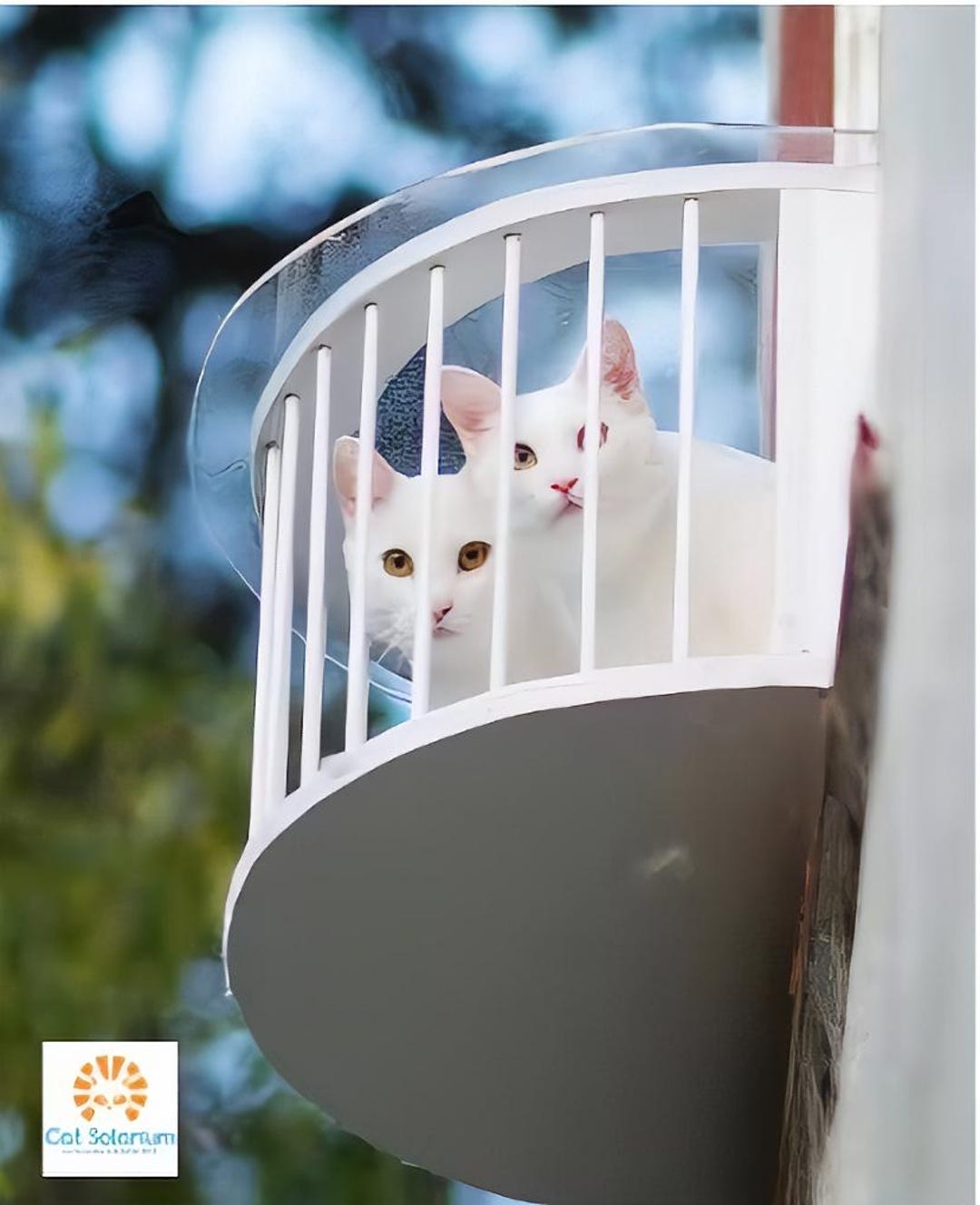 Cat Solarium Sunroom Package: the Ultimate Cat Window Box. This Catio ...