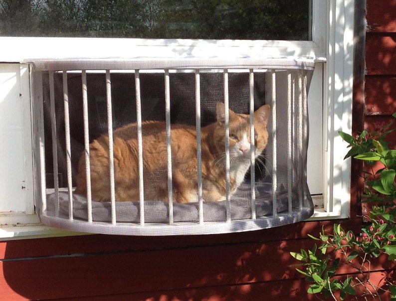 Cat Solarium-the Veranda Package the Ultimate Cat Window Box - Etsy