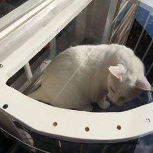 Cat Solarium Sunroom Package: the Ultimate Cat Window Box. This Catio ...