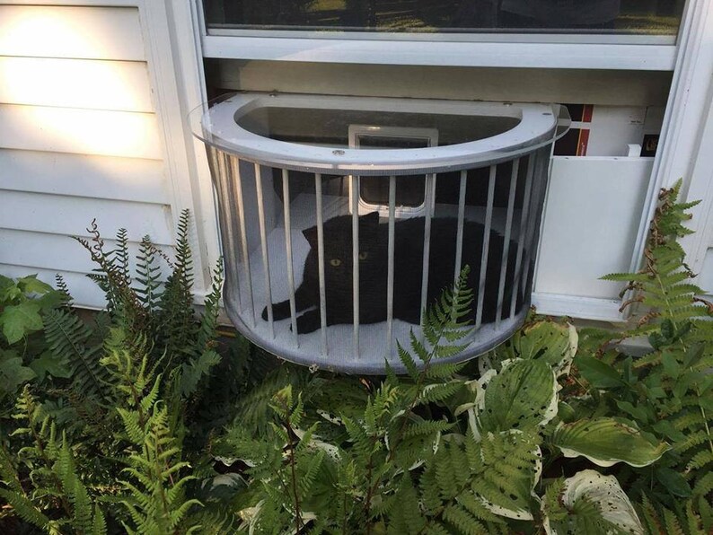 Cat Solarium Sunroom Package: the Ultimate Cat Window Box. This Catio ...