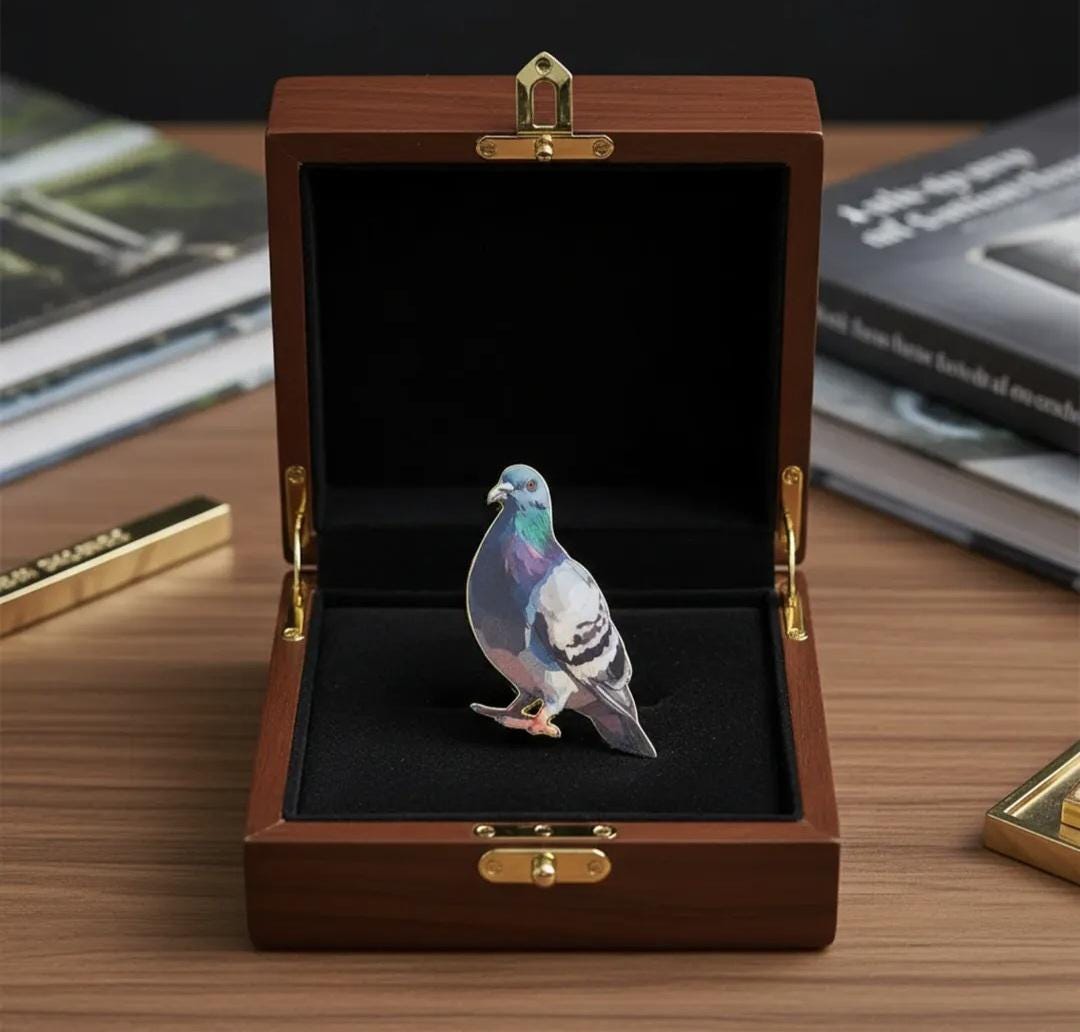 Pigeon Pinback Button - Etsy