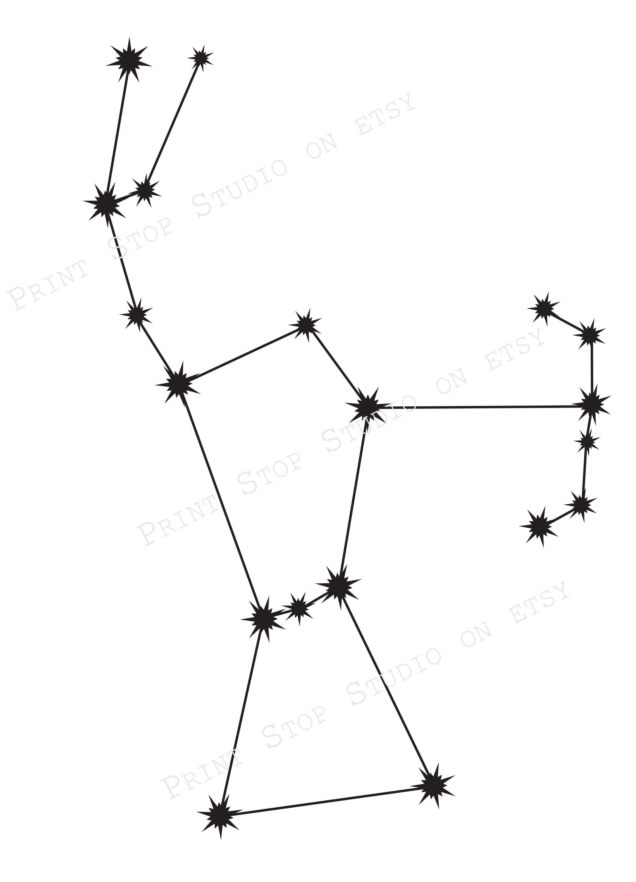 Orion Constellation SVG Bundle. Stars, Flowers, Skulls, Suns. Cricut ...