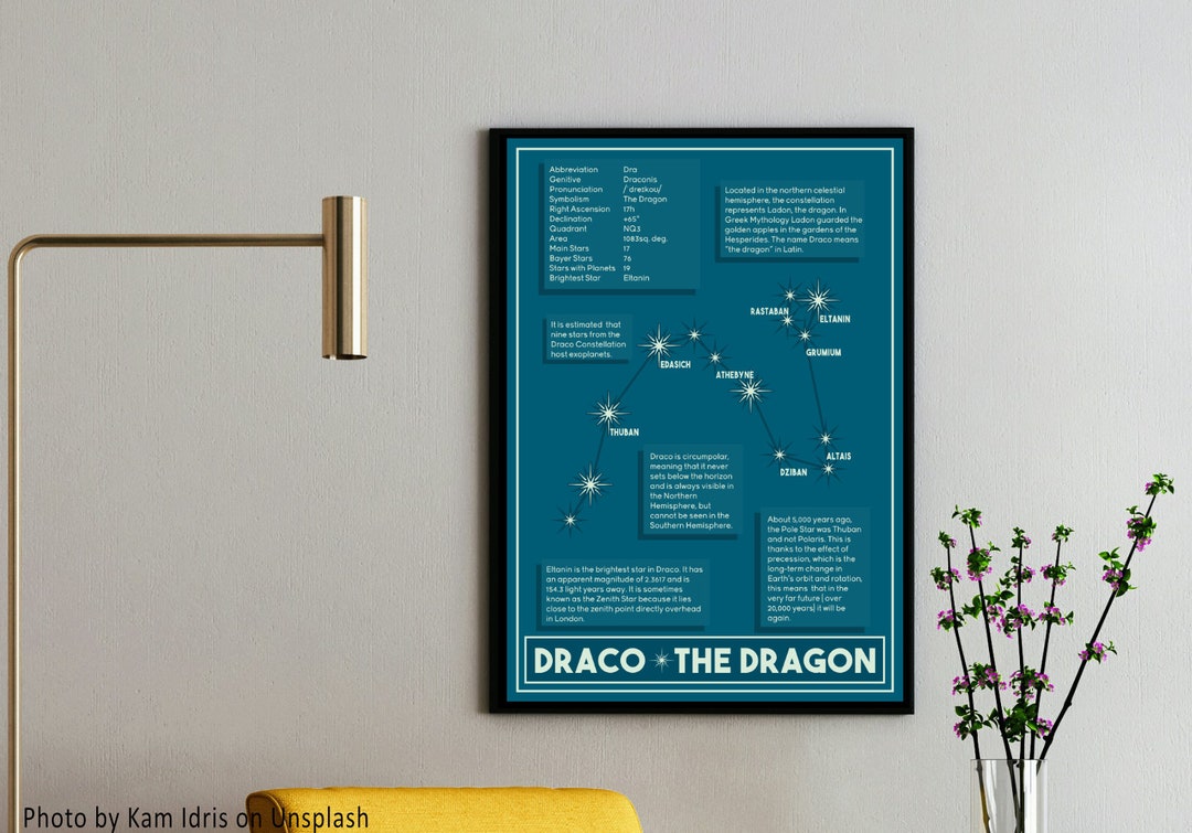Retro Draco Constellation Fact Poster - Etsy