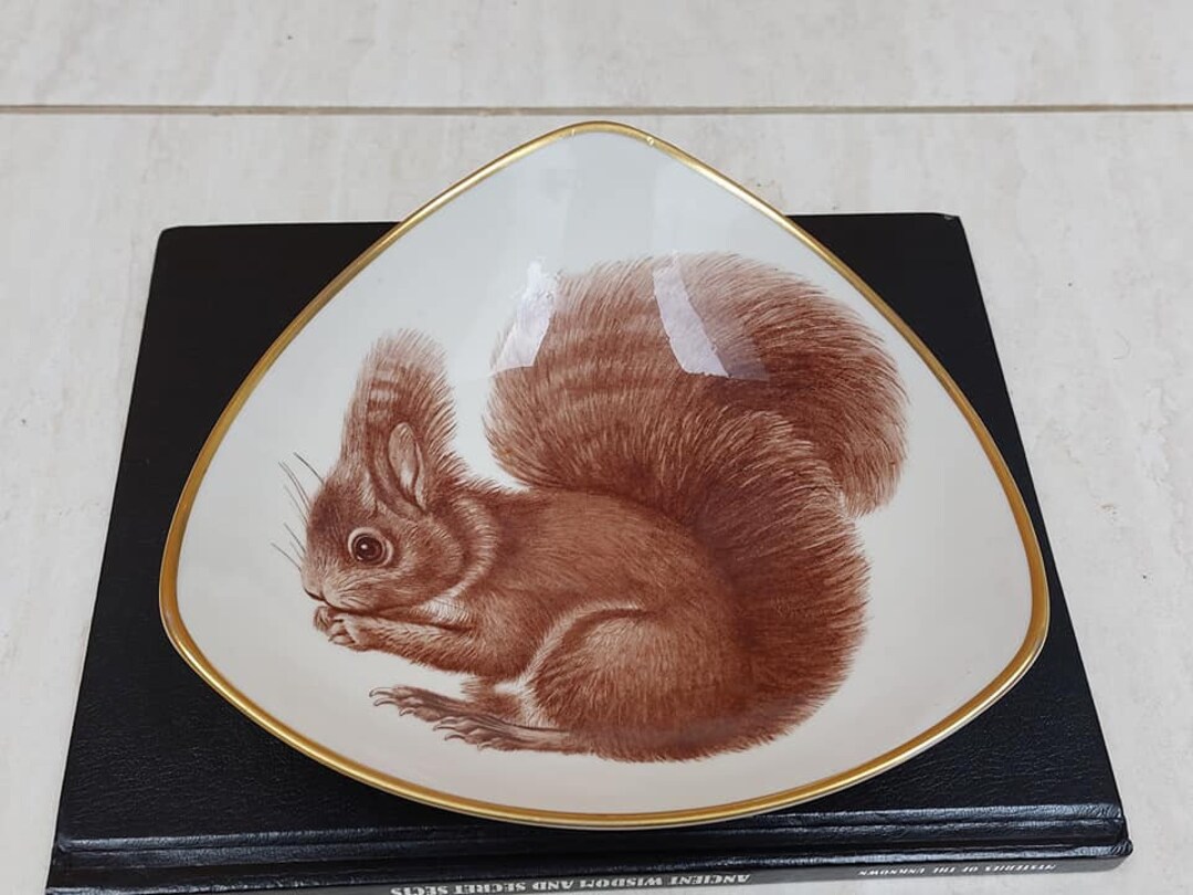 Red Squirrel Bowl - Etsy