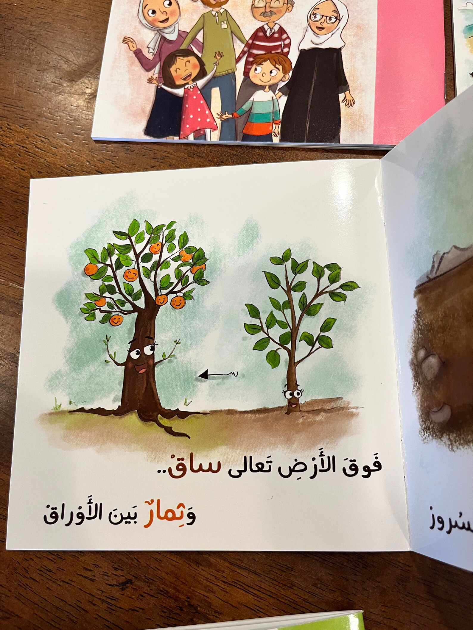 12 Arabic Story Books - Etsy