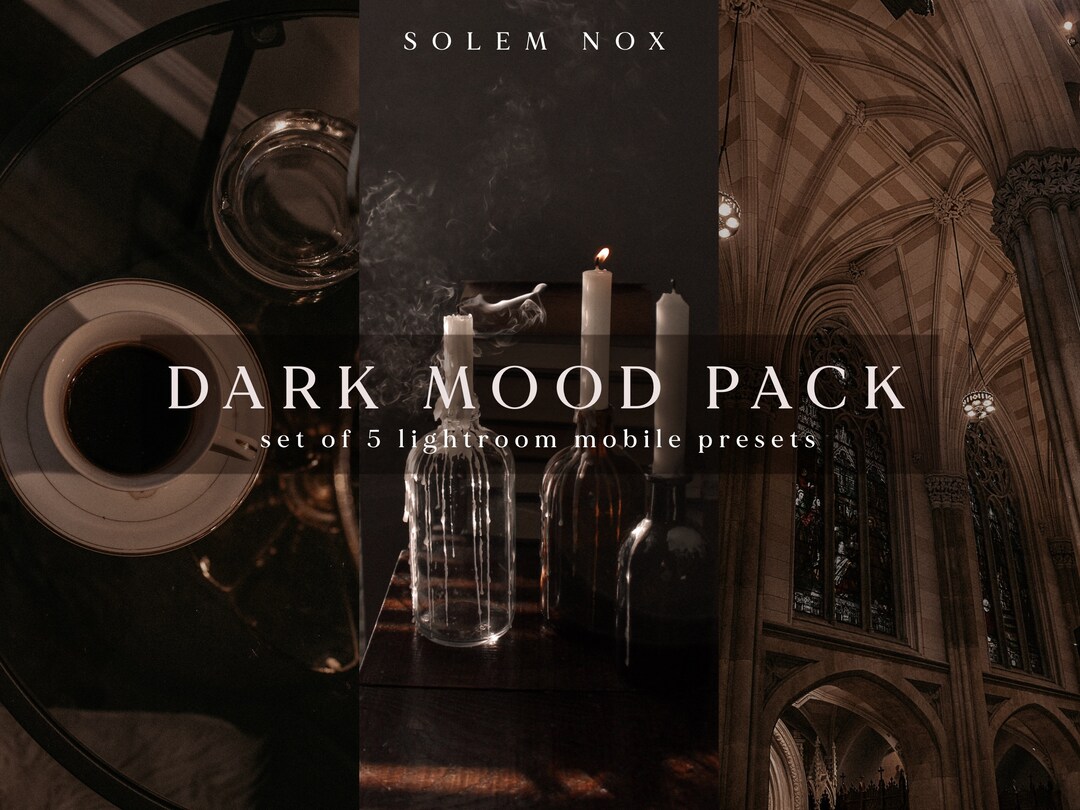 DARK MOOD Preset Pack Set of 5 Dark Academia Lightroom Mobile Presets ...