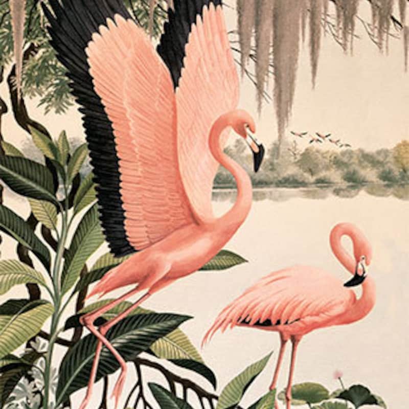 Flamingo Art - Etsy