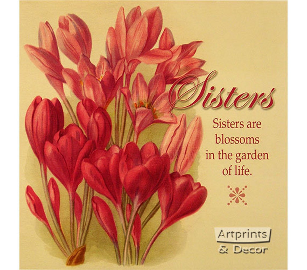 Colchicums (sisters) - Art Print - Etsy