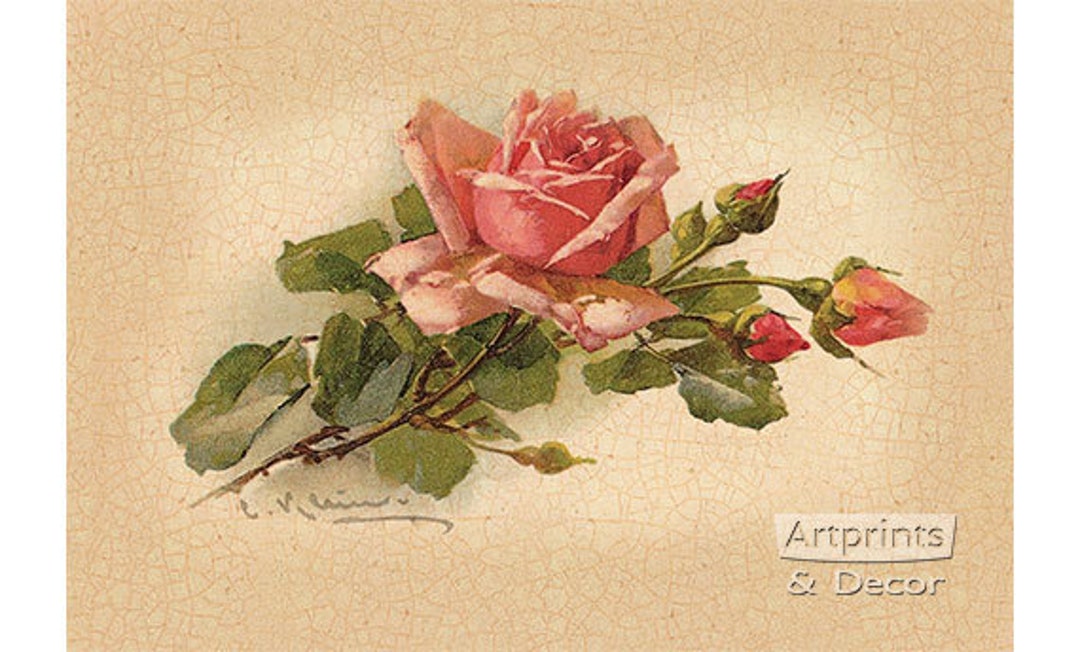 Pink Klein Rose - Art Print - Etsy