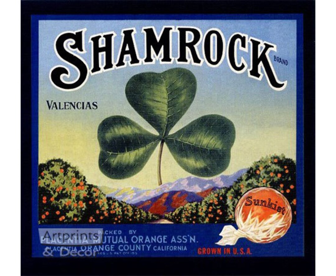 Shamrock Brand Navels Art Print - Etsy
