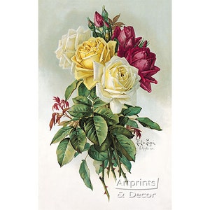 Paul De Longpre - Etsy