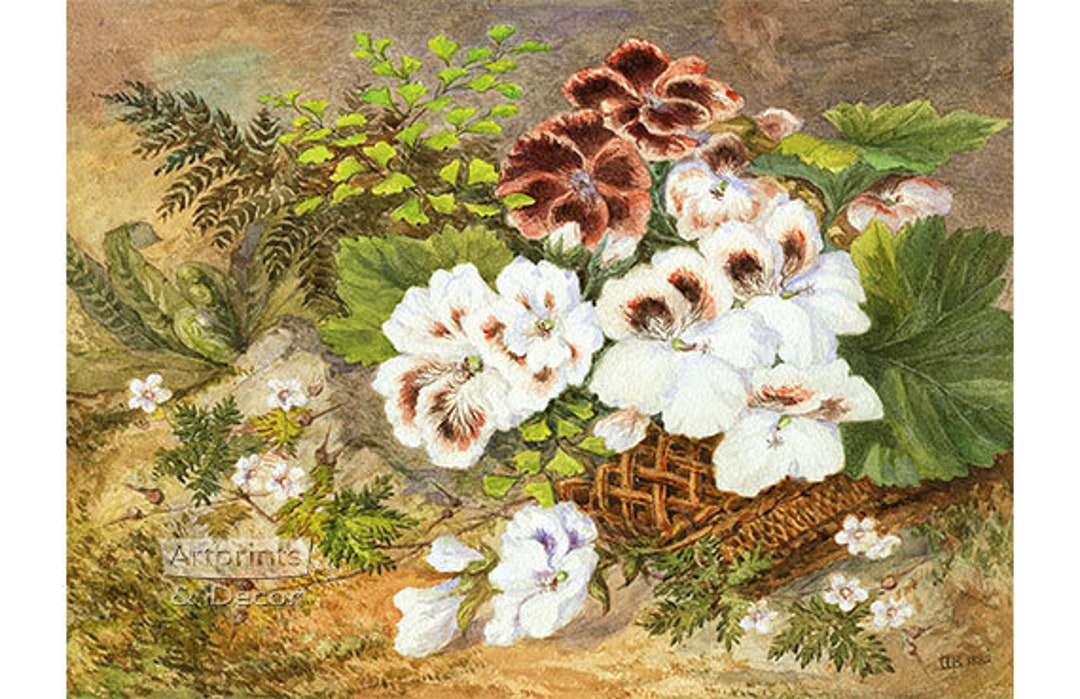 Flowering Basket - Art Print - Etsy