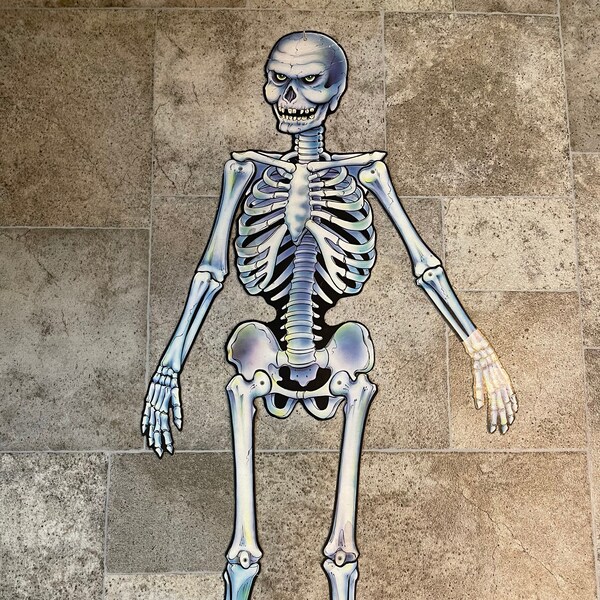 Beistle Halloween - Etsy