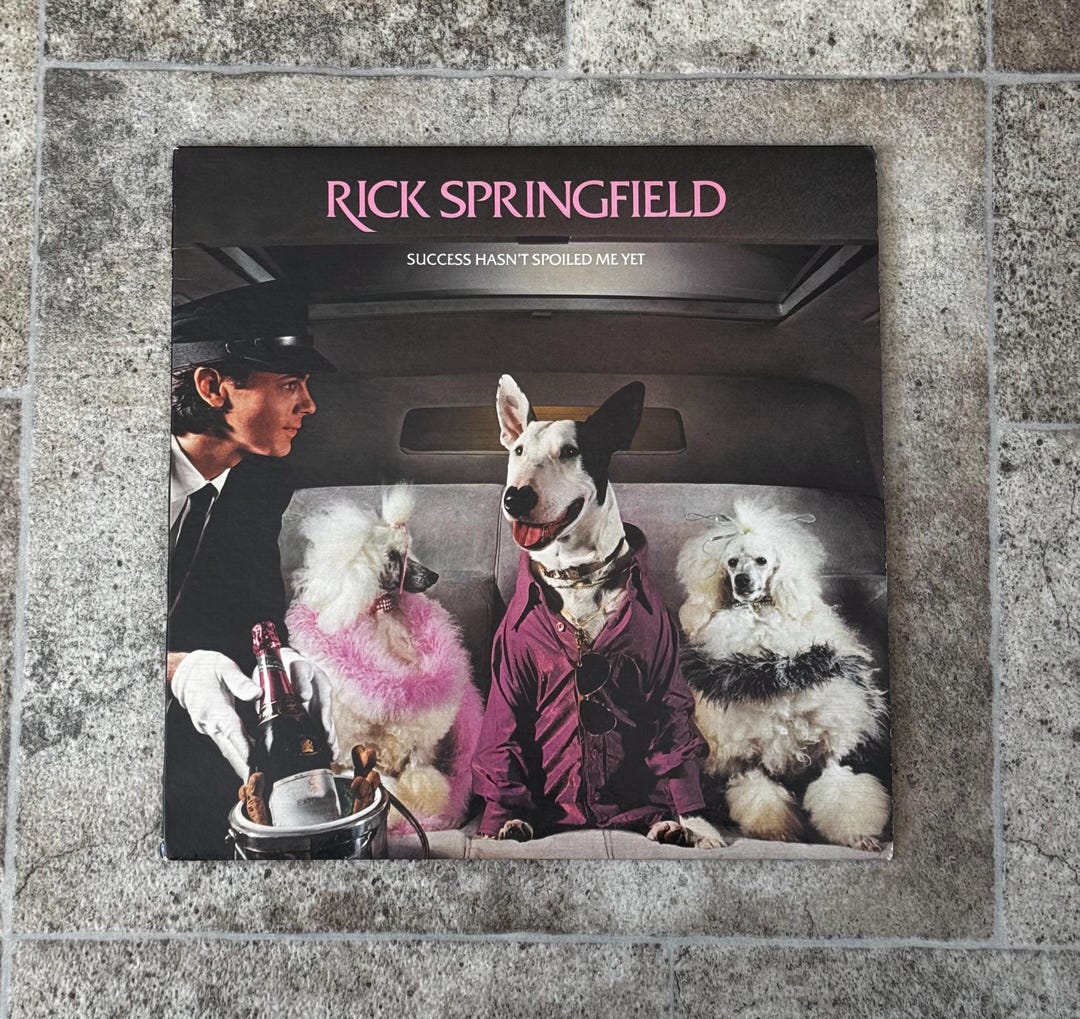 Vintage 1982 Rick Springfield Success Hasn't Spoiled Me yet Vinyl ...
