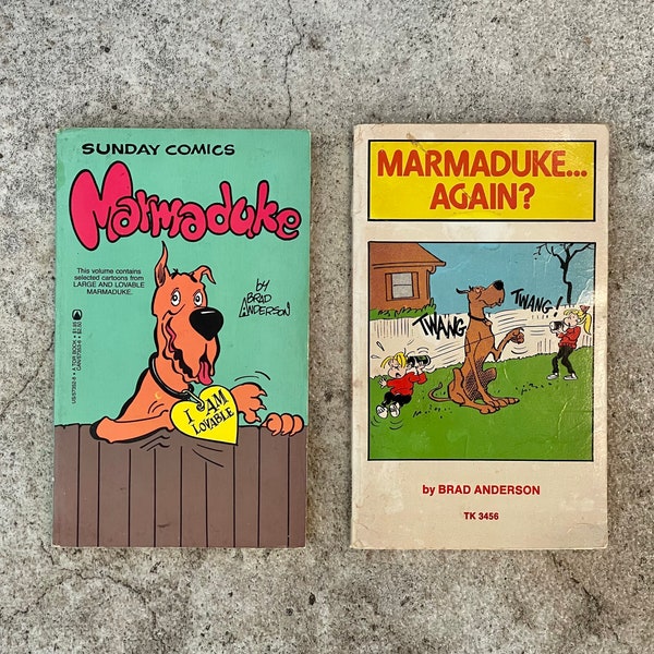 Sunday Comics - Etsy