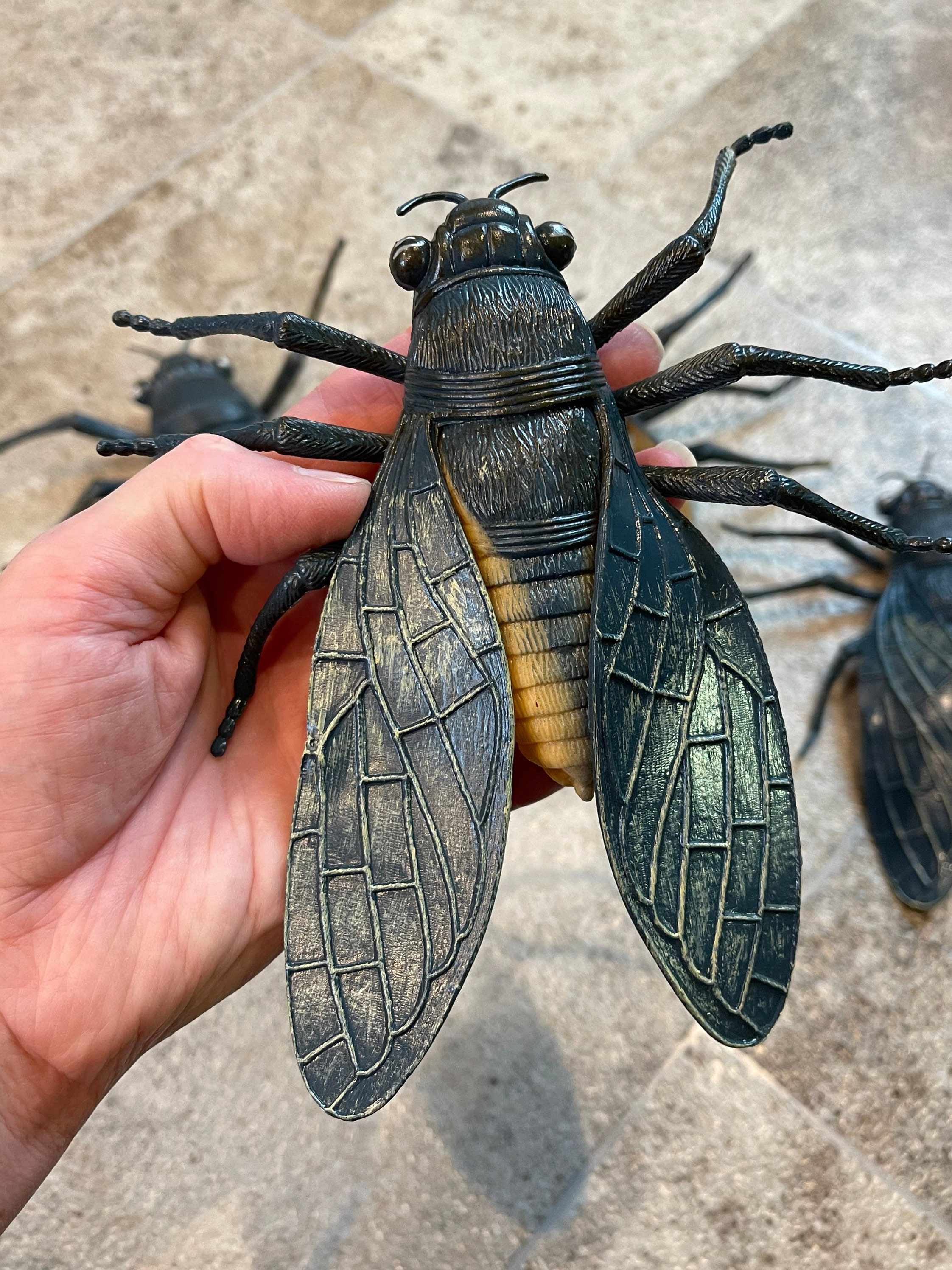 Pretend Play Vintage Plastic Bugs Plastic Cicada Toy Large Insect Toy ...