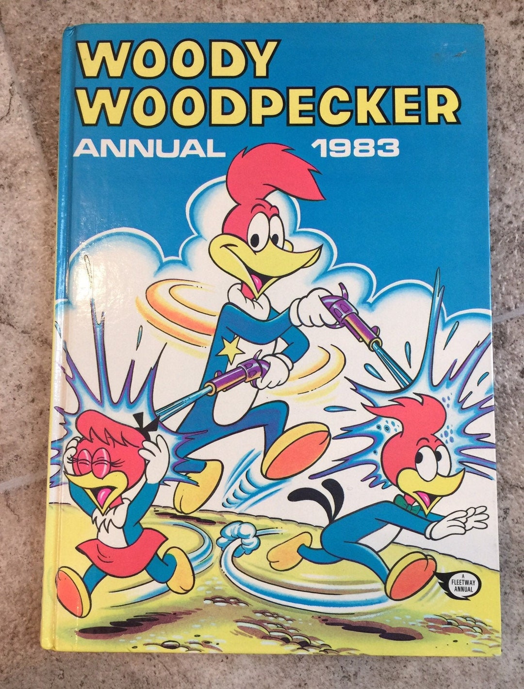 Vintage 1982 Woody Woodpecker Children's Book by Walter Lantz, Vintage ...