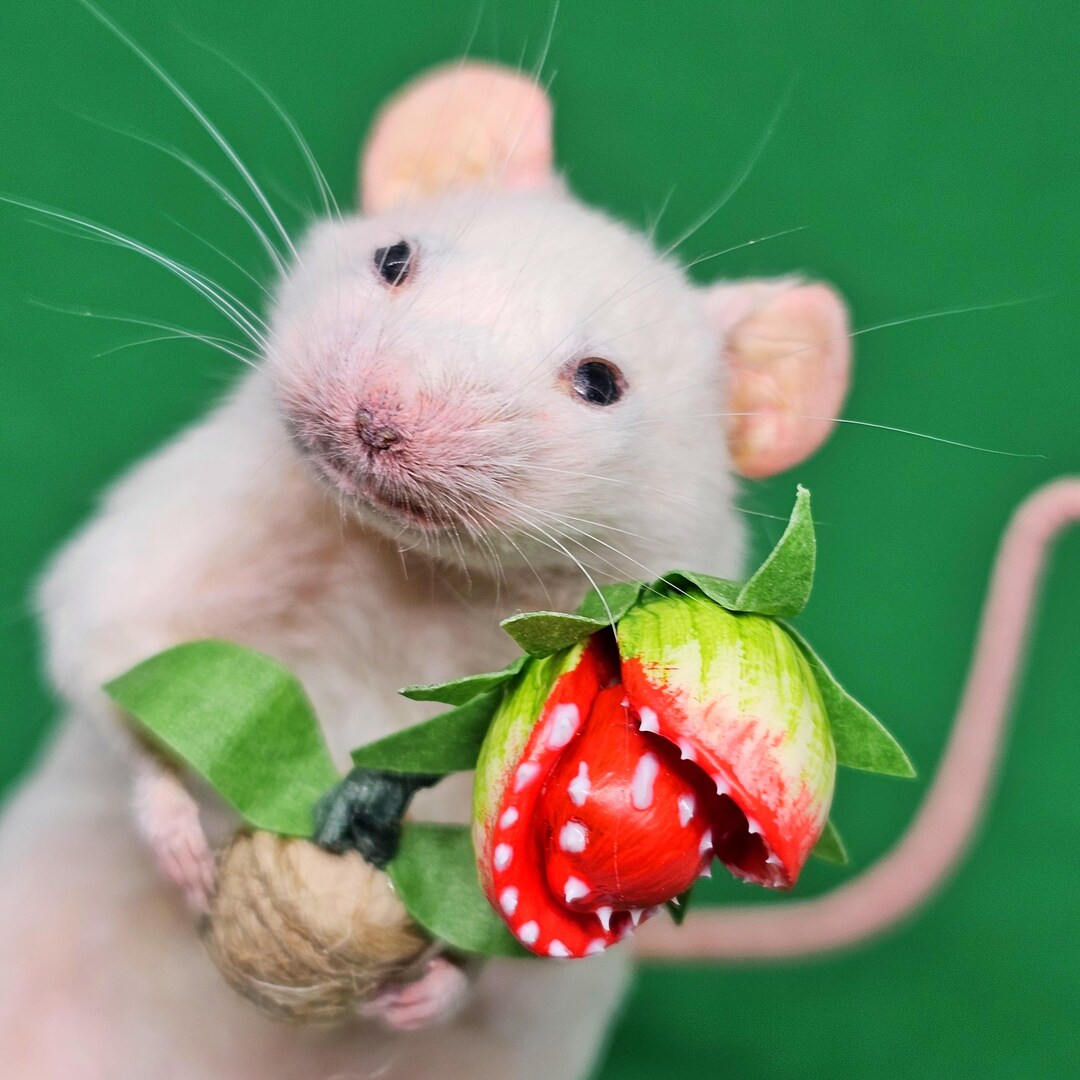 Carnivorous Plant Taxidermy Mouse ~ Cottagecore, Gift, Present ...