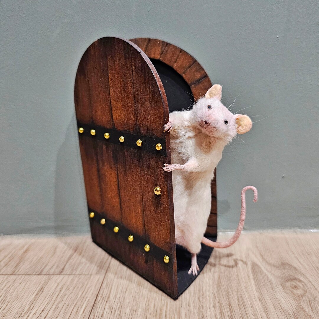 Fairy Door Taxidermy Mouse ~ Cottagecore, Witch, Crystal, Wiccan ...
