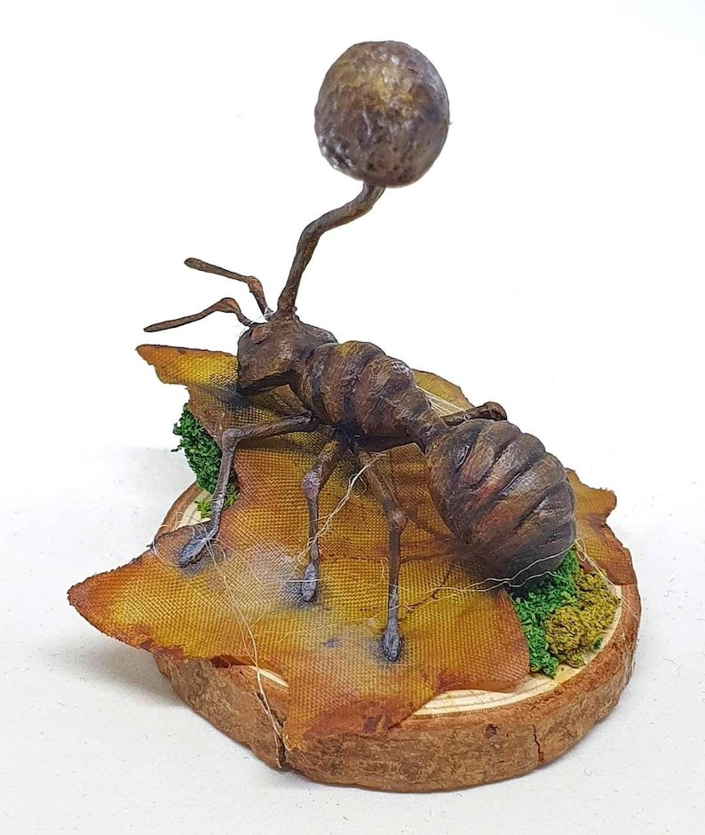 Cordyceps Ant Fungus Parasite Last of Us Inspired Oddities - Etsy UK