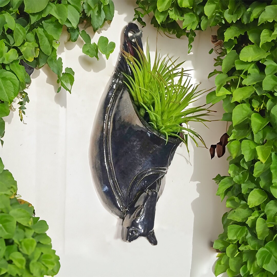Bat Plant Pot 'BLACK ICE' Cottagecore Air Plant - Etsy