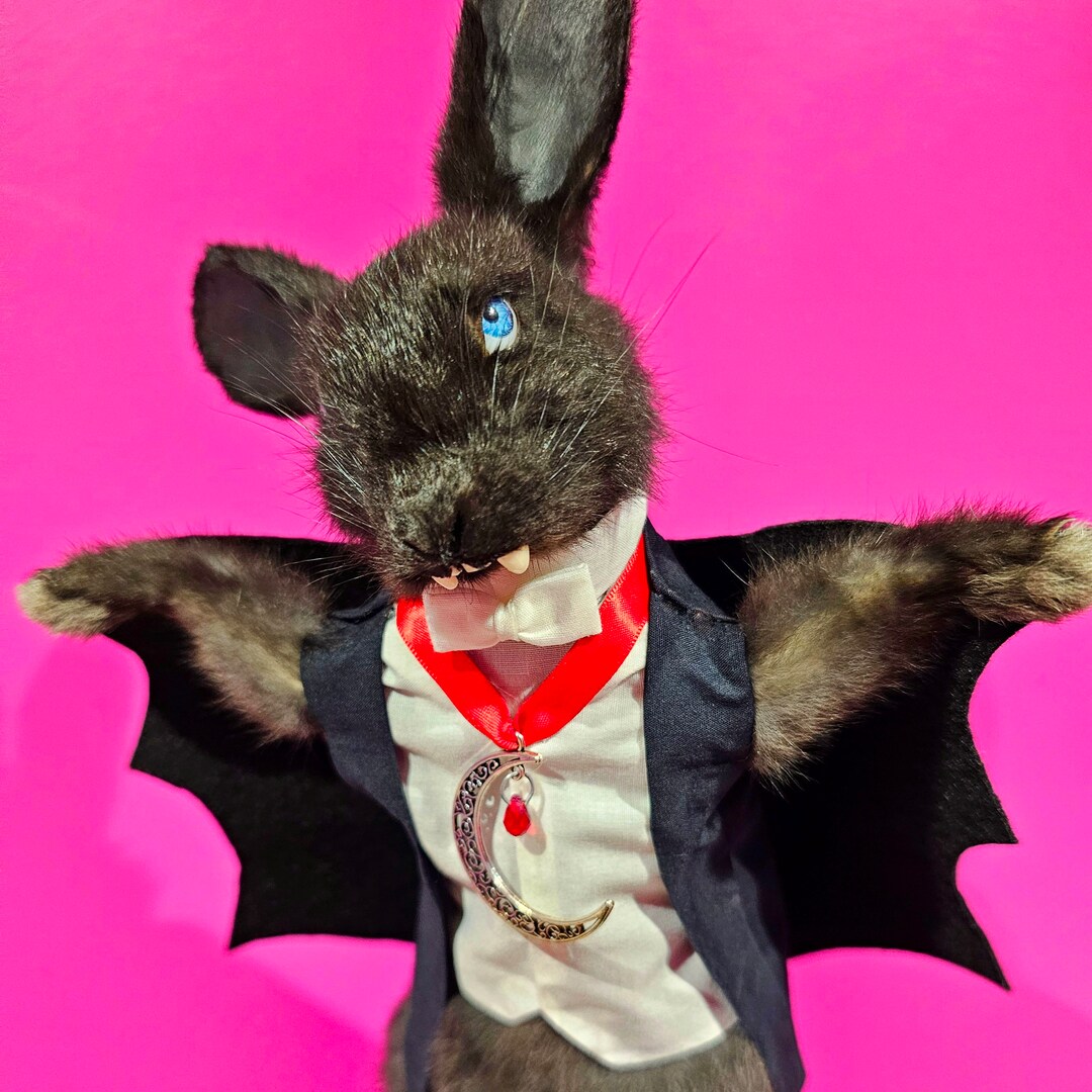Nosferatu Dracula Vampire Taxidermy Rabbit, Curio and Oddities. - Etsy