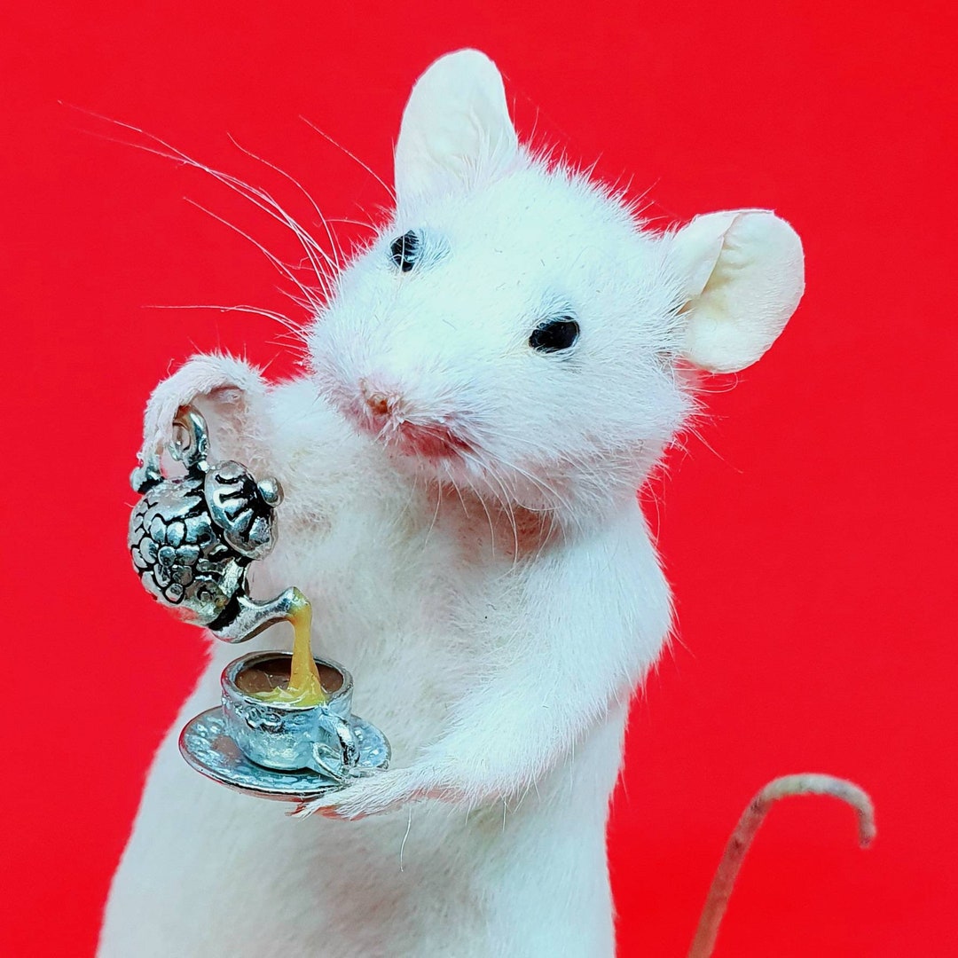 TEA Taxidermy Mouse ~ Cottagecore, Teapot, Cup of Tea, British, Brew ...