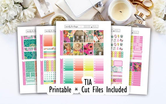 Printable Planner Sticker Kit / TIA / Weekly Kit / Erin | Etsy
