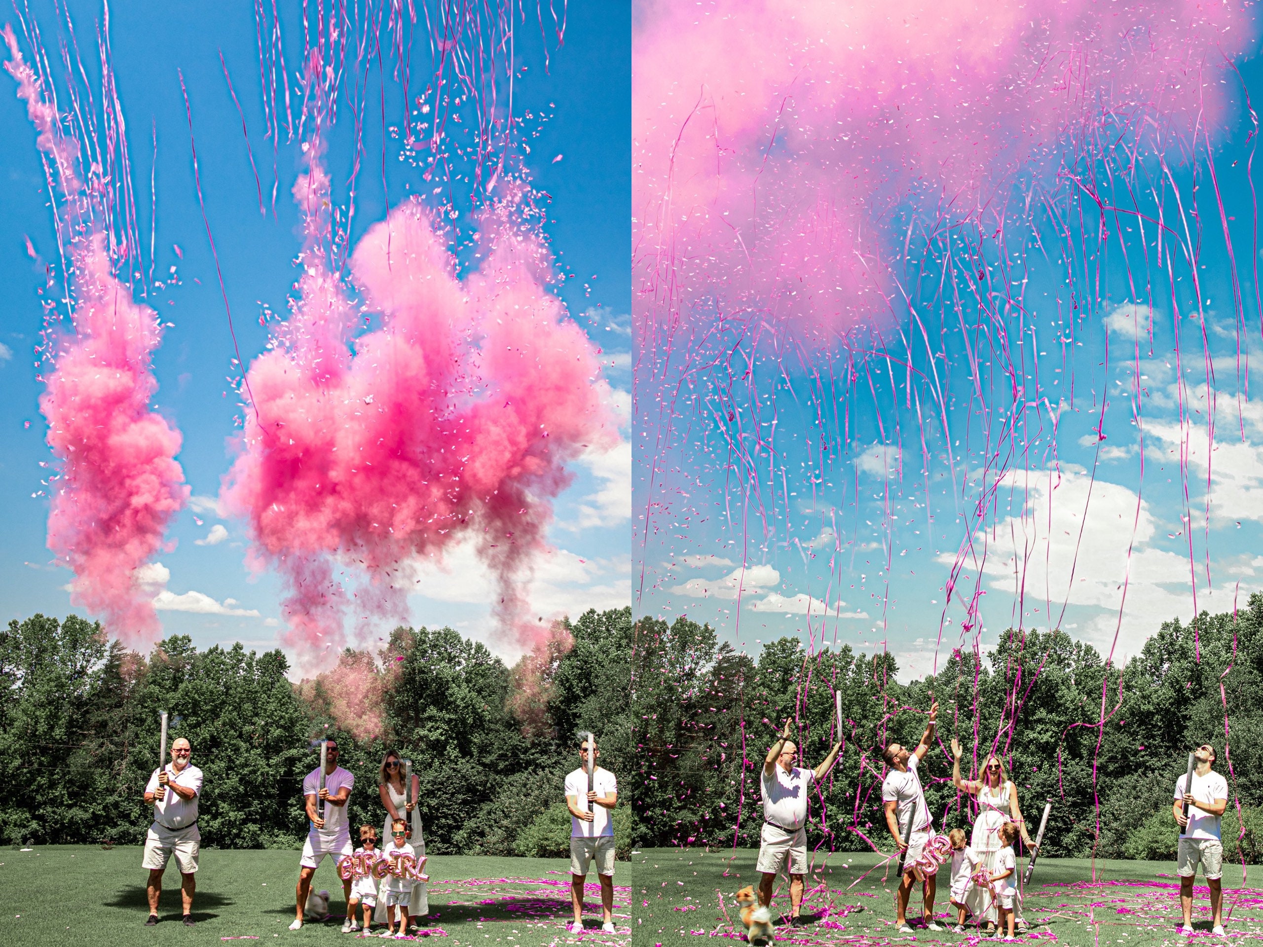 24 Confetti And Powder Cannon Gender Reveal Both Smoke Powder And