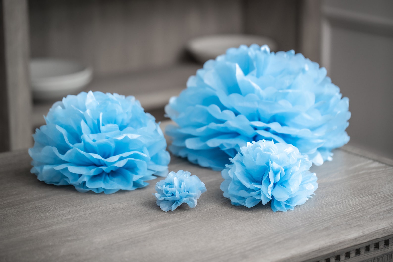 Paper Poofs for Gender Reveal Decor From the Venice Collection - Etsy