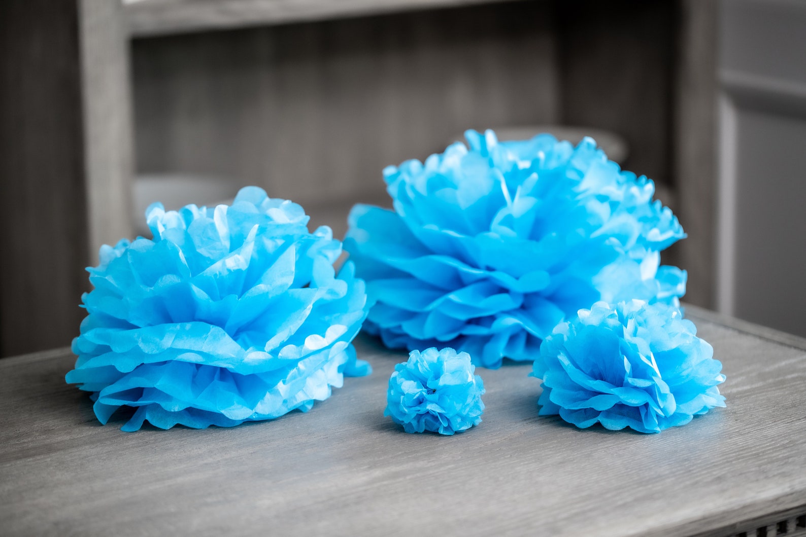 Paper Poofs for Gender Reveal Decor in 4 8 | Etsy