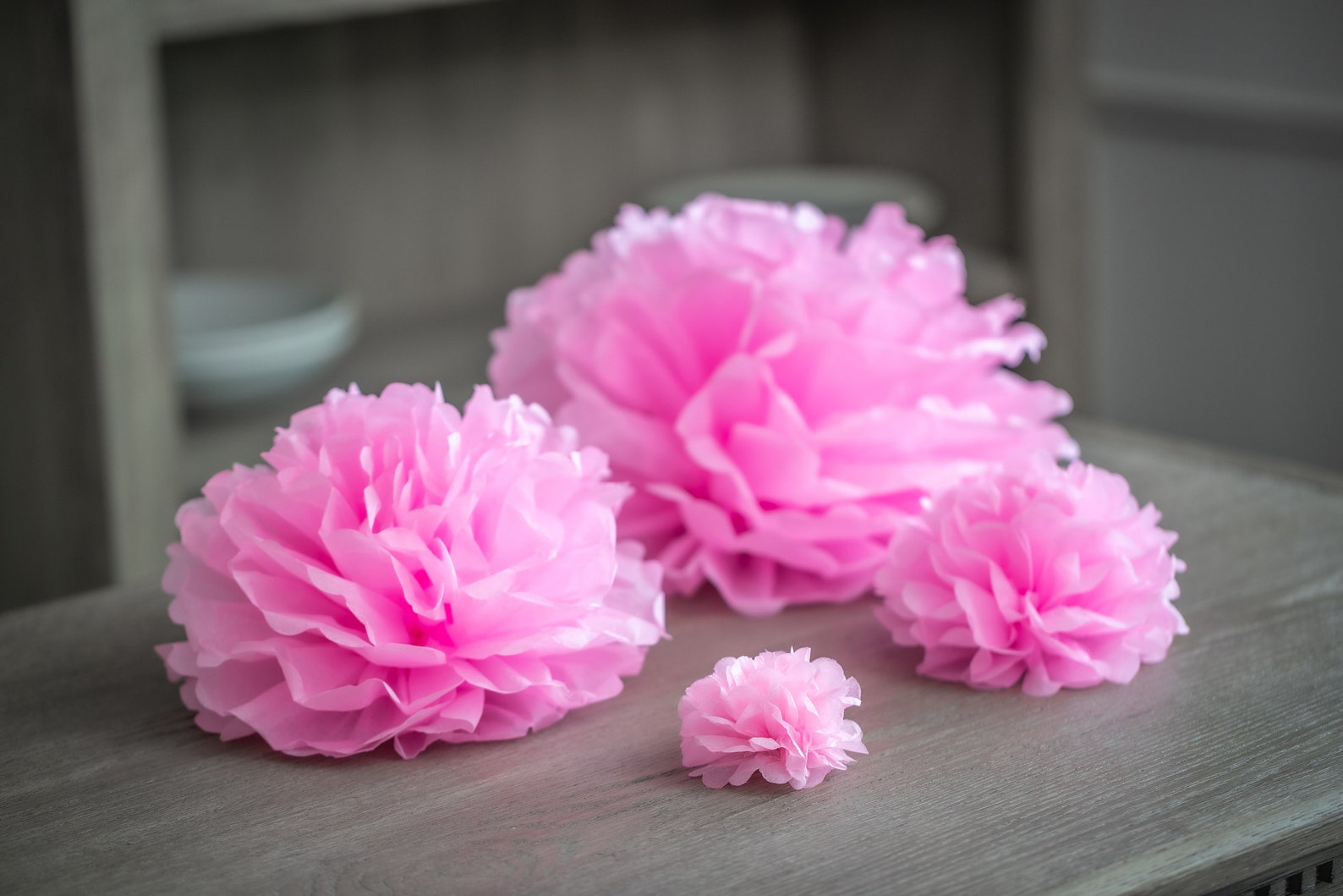 Paper Poofs for Gender Reveal Decor in 4 8 | Etsy