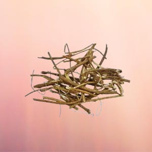 Devil's Shoestring Root Whole - Etsy