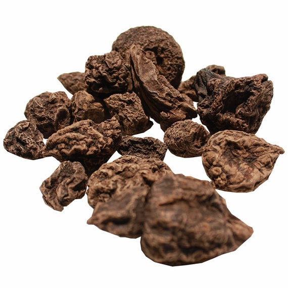 High John the Conqueror Root | Etsy