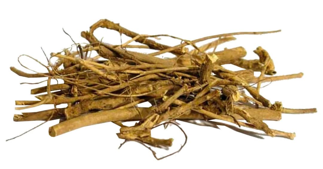 Devil's Shoestring Root Whole - Etsy