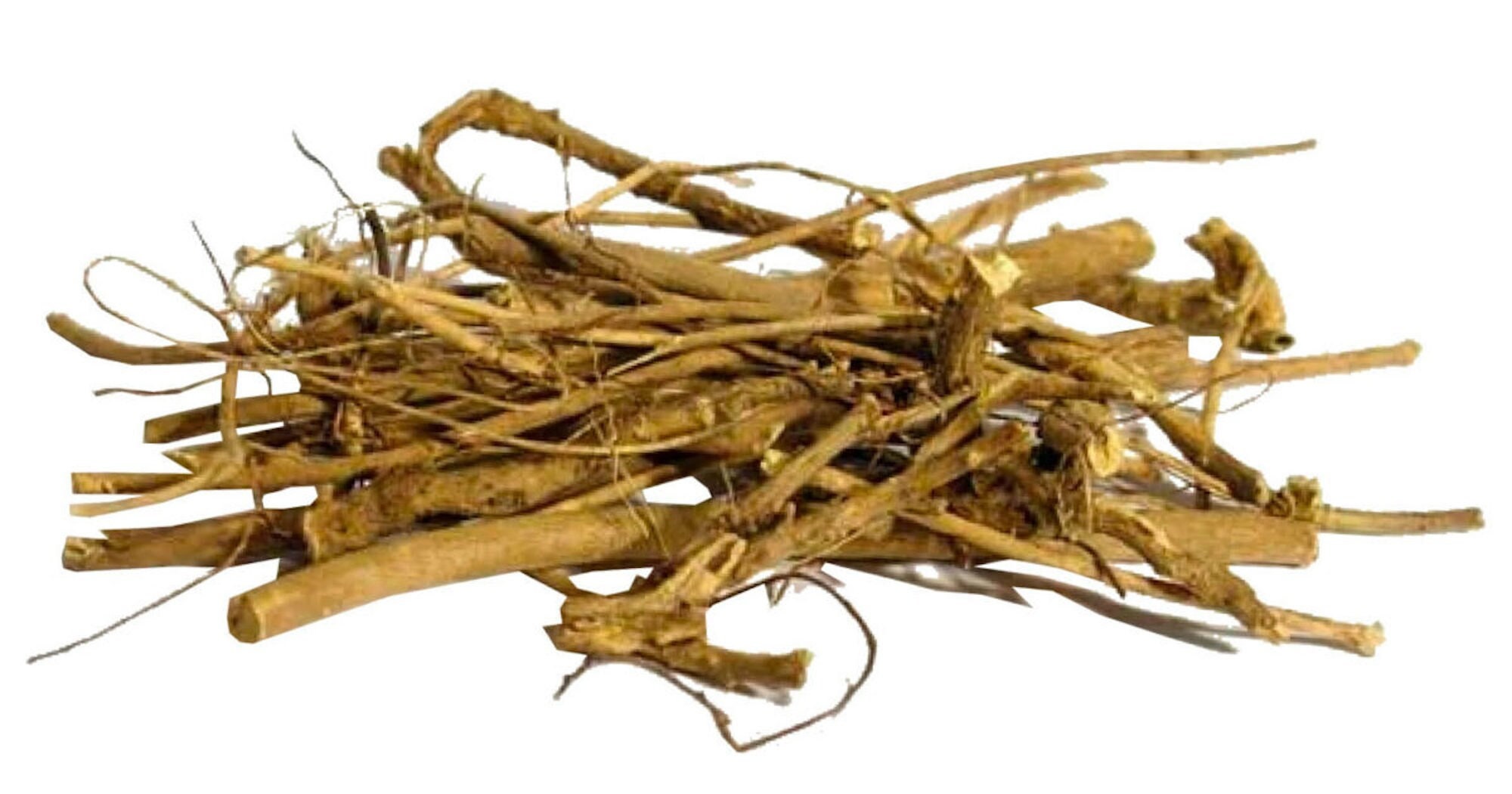 Devil's Shoestring Root Whole - Etsy