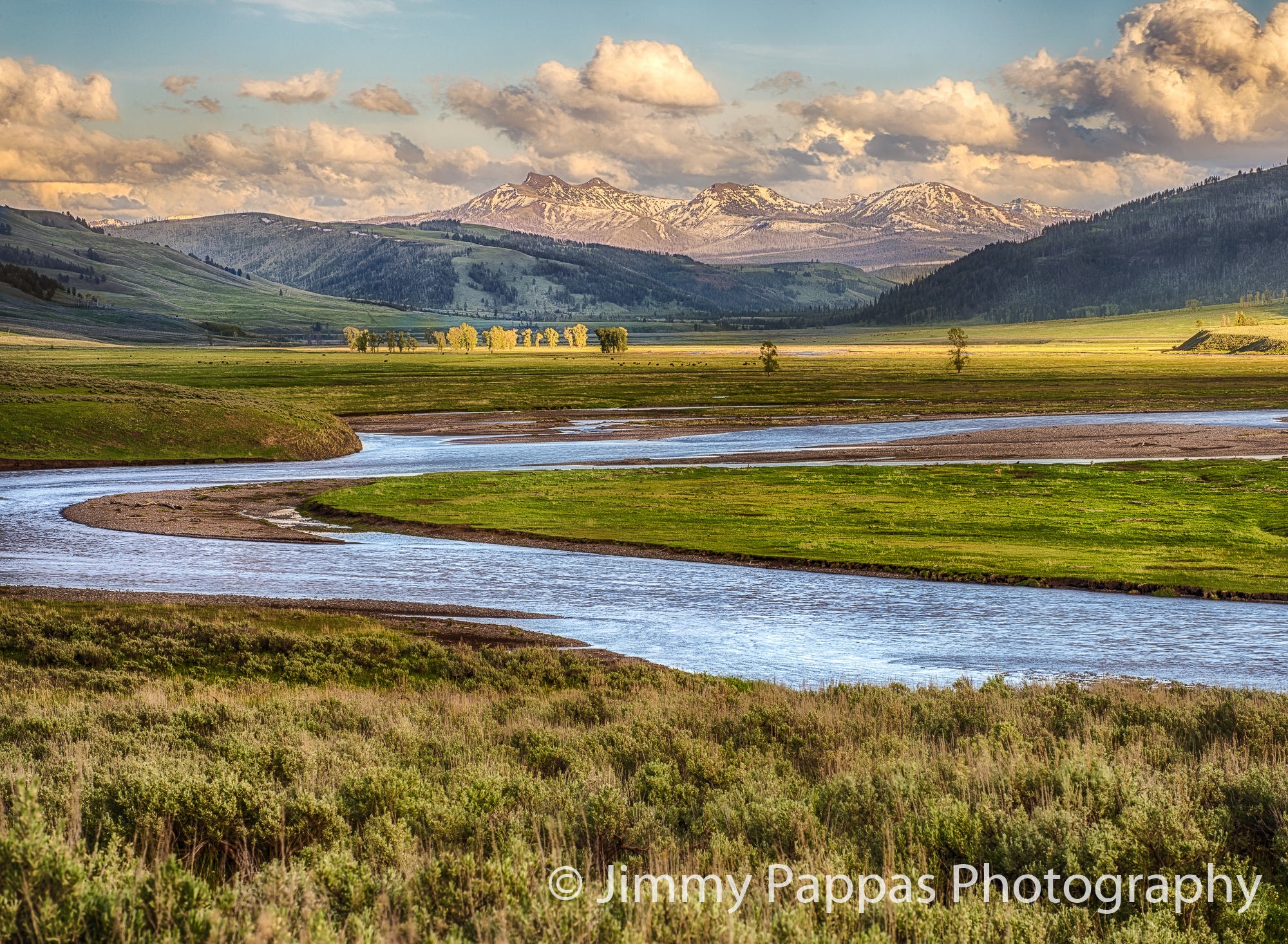 Peaceful Lamar Valley Yellowstone National Park Fine Art | Etsy