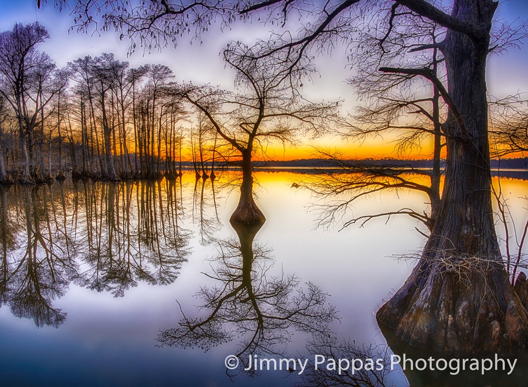 Reelfoot Lake State Park, Fine Art Print, Jimmy Pappas Photography - Etsy