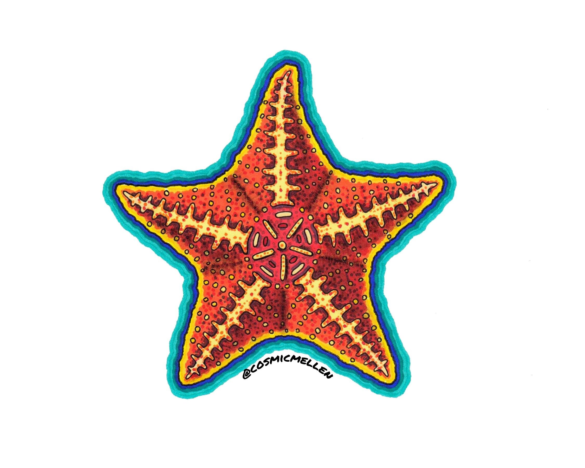 Small Sticker Starfish Sticker Trippy Sticker Sea Star | Etsy UK