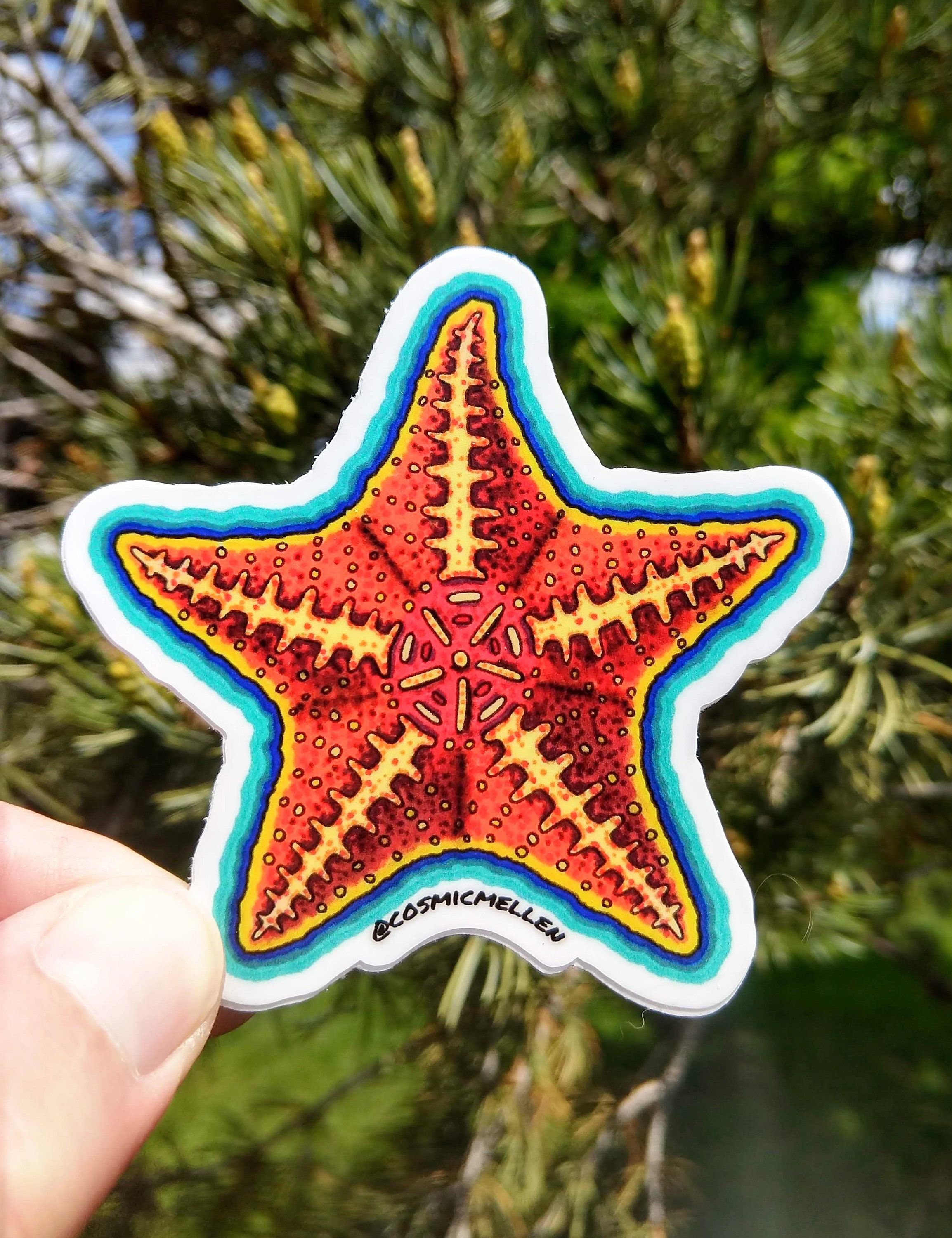 Small Sticker Starfish Sticker Trippy Sticker Sea Star | Etsy