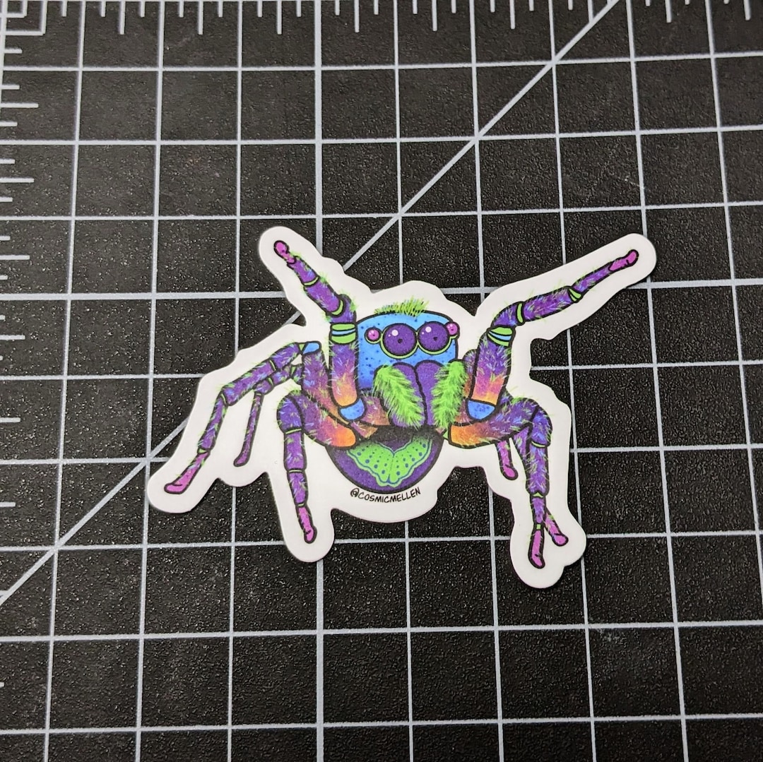 Sticker | Psychedelic Spider | Water Bottle Sticker | Trippy Sticker ...