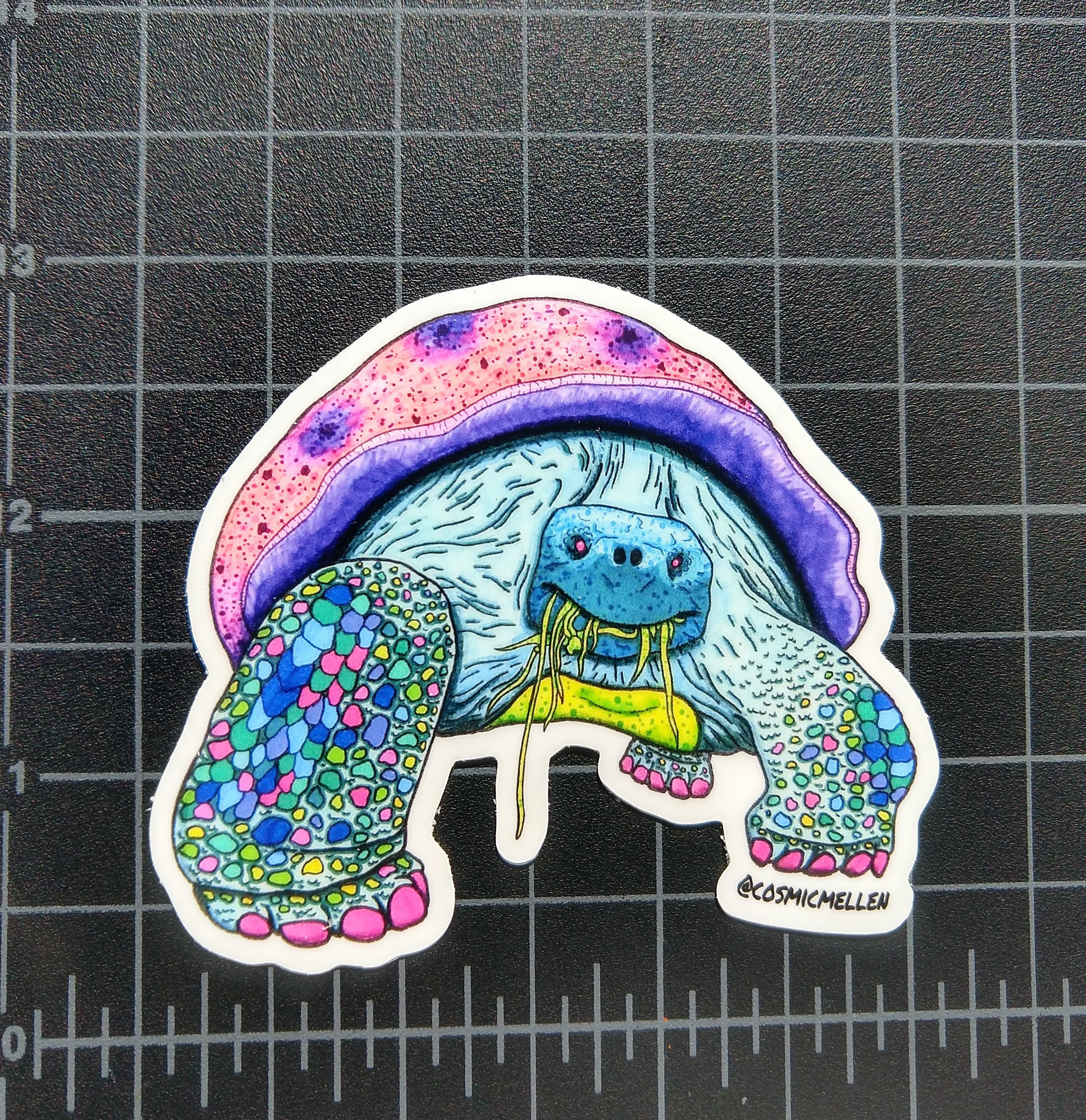 Trippy Turtle Drawings