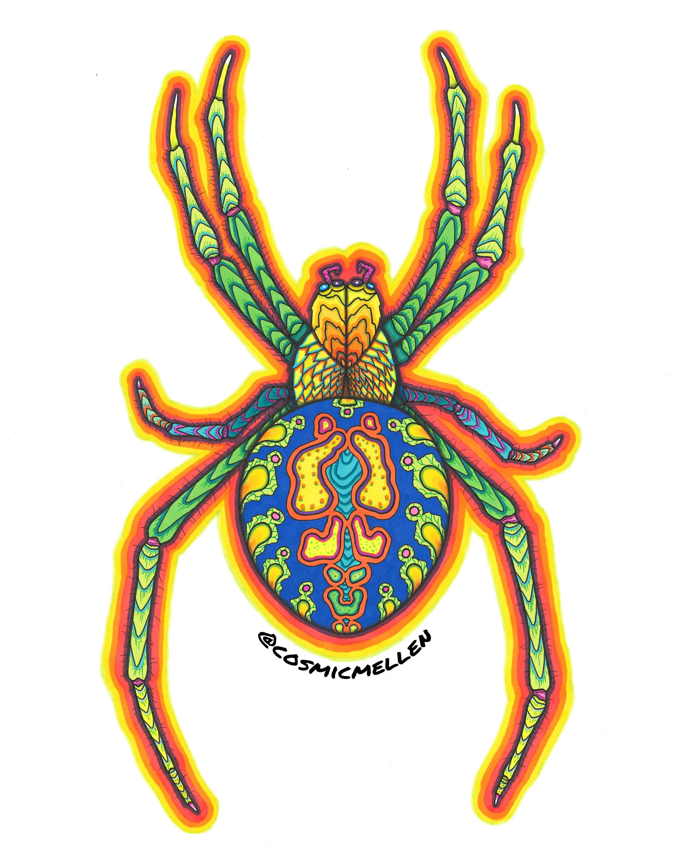 Spider Sticker Pack Trippy Sticker Spider Sticker Hydro | Etsy